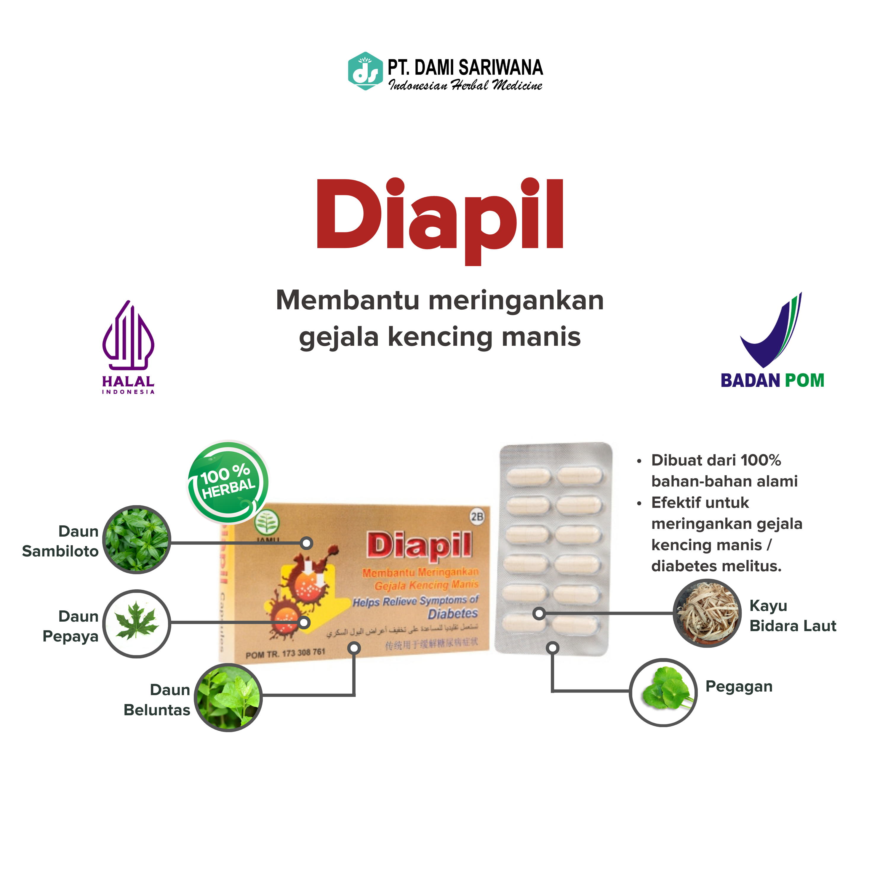 Obat Herbal DIAPIL 12 Kapsul Mengatasi Diabetes Kencing Manis – Dami ...