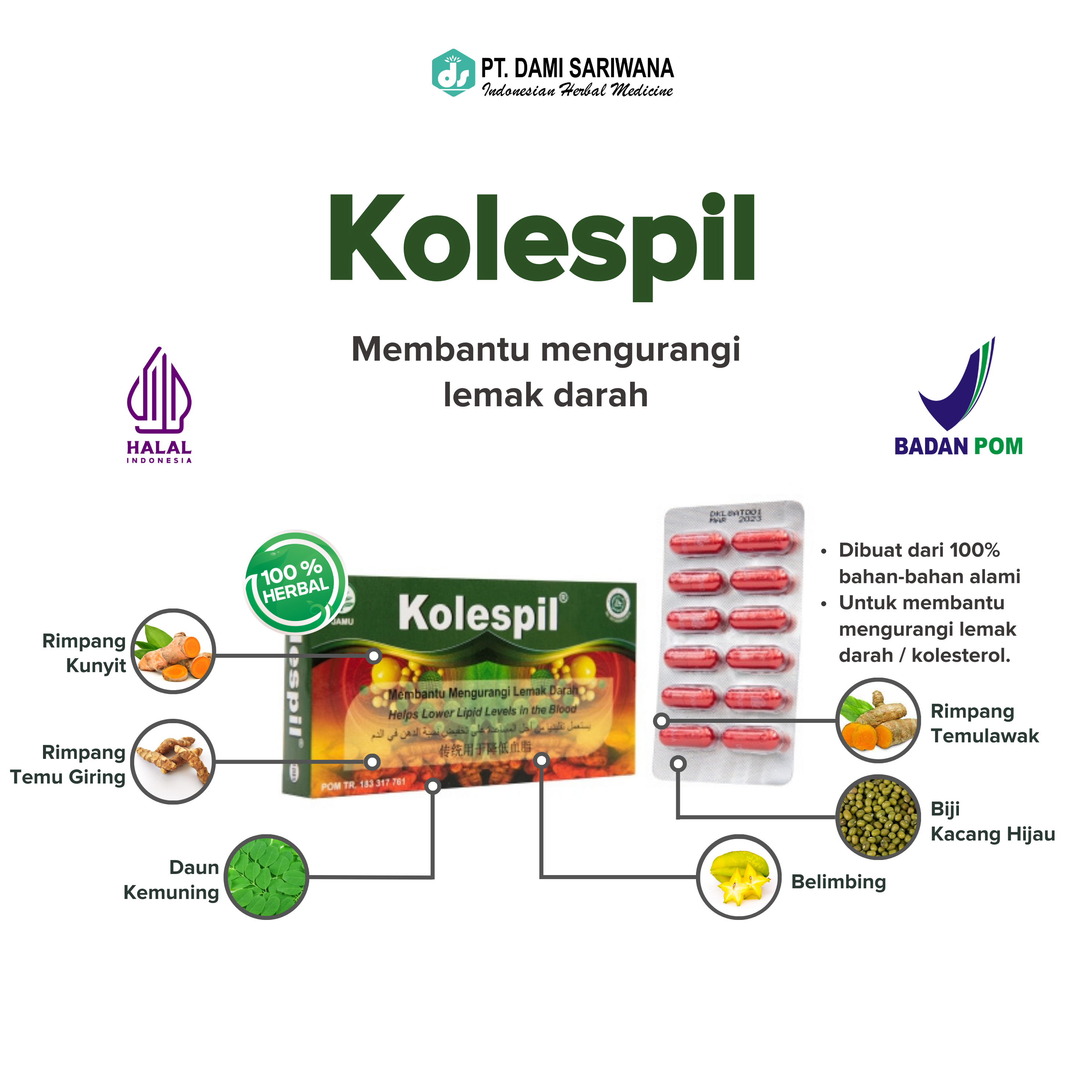 Obat Herbal KOLESPIL 12 Kapsul Mengurangi Kolesterol & Kaku Urat Leher ...